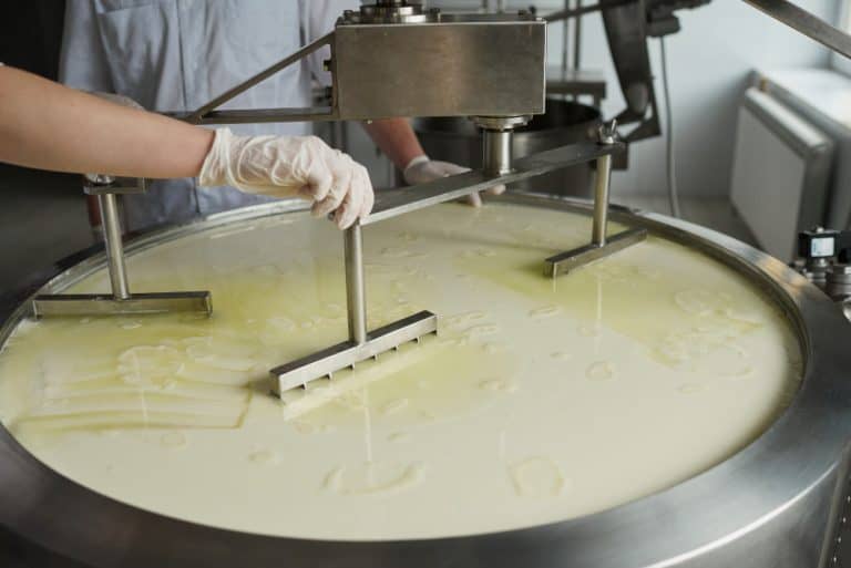 Dairy Manufacturing Machines Explained in 5 Key Points
